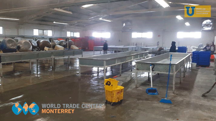 FABRICA DE DULCES RAVI | WTC Monterrey